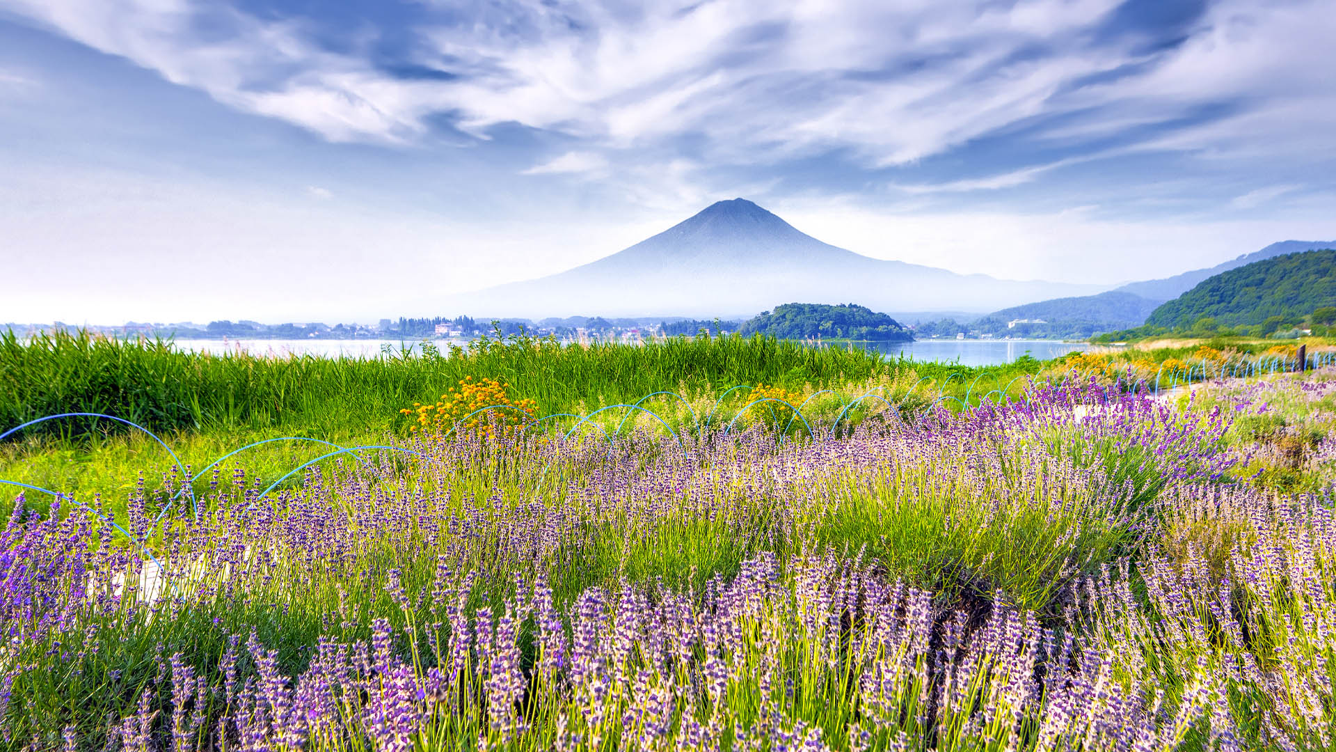 TOUR DU LỊCH NHẬT BẢN TUYẾN TOKYO - FUJI - NAGOYA - KYOTO - OSAKA